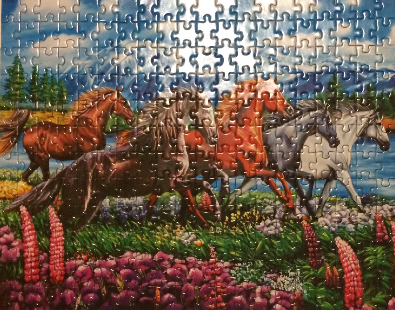 More Freaking Horse Puzzles – Pisaries Creator