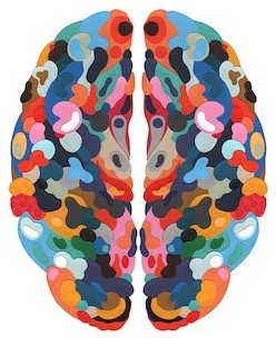 Netflix Documentary Recommendation: The Creative Brain (2019 ...