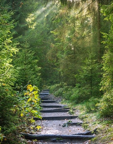 Poem: Pathway – Pisaries Creator